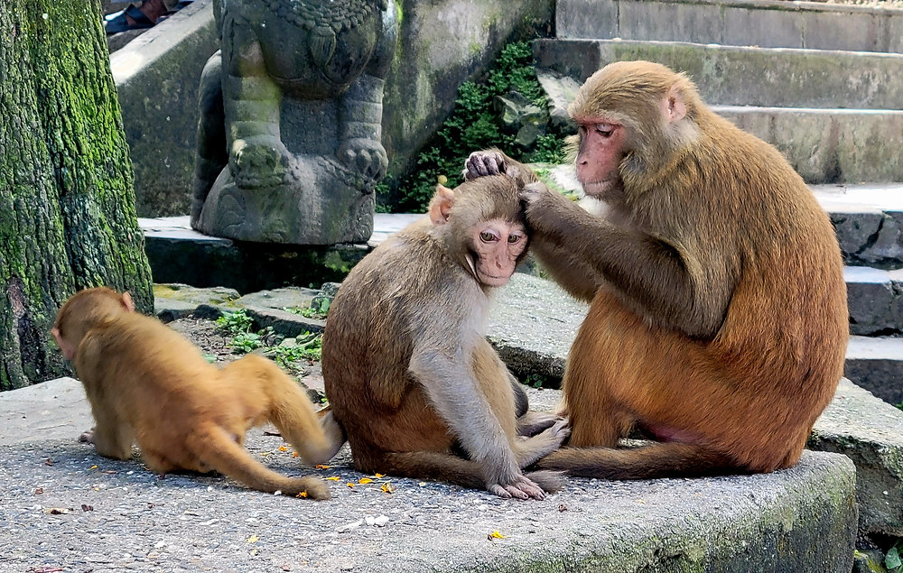 Altruism Vs Egoism