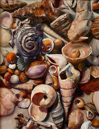 64 Shells | Art by FelicityStarr