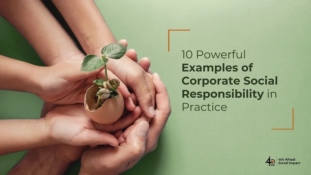 social responsibility examples