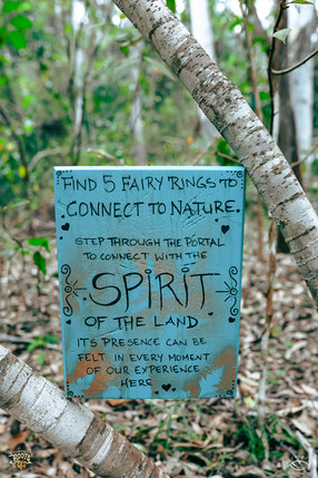 Gallery | Kuranda Roots