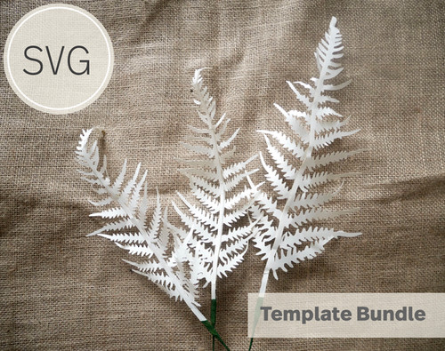 Paper Fern template | deaneyweaneyblooms
