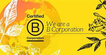 INTENTIONALLY CHOOSE TO USE: B CORP Products that compound our impact ...