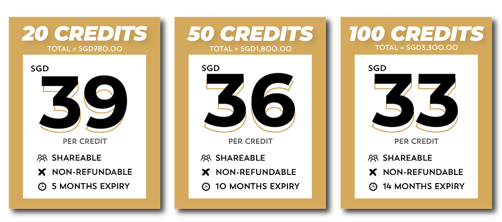 PACKAGE | FLYPROJECT.CO