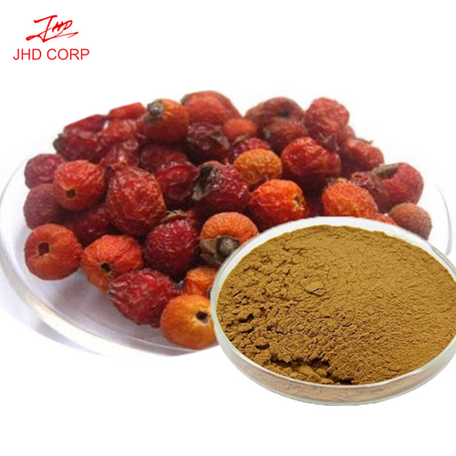 Rose Hip Extract | JHD-Corp