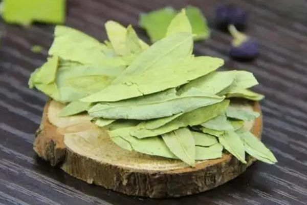 What are the benefits of drinking senna leaf tea?
