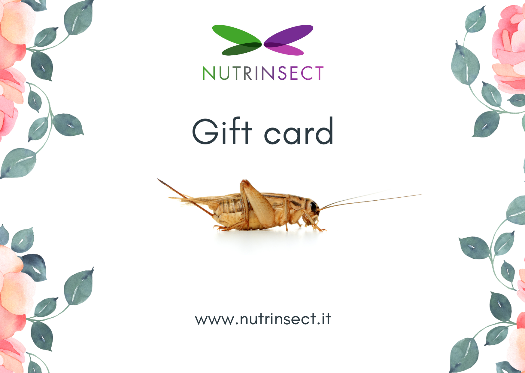 Buono regalo | Nutrinsect