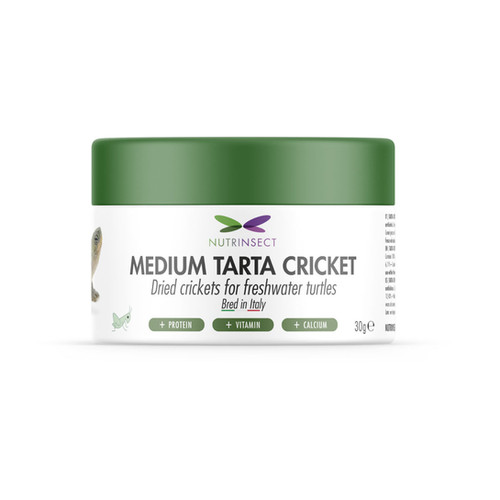 Medium Tarta cricket (30 gr) | Nutrinsect