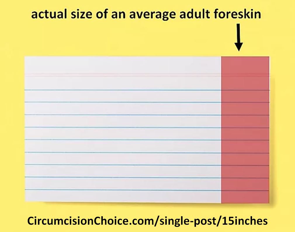 New Document Reveals Shortcomings in CDC's Circumcision Policy ...