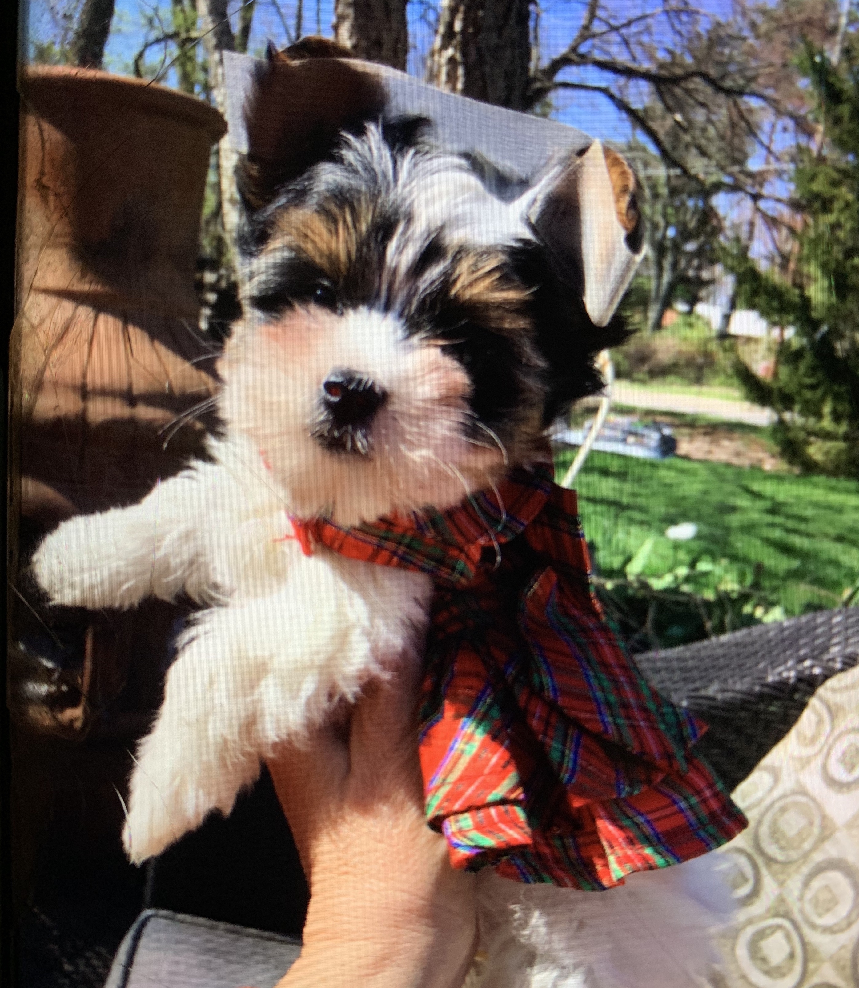 Biewers Gallery | Brighton Biewers