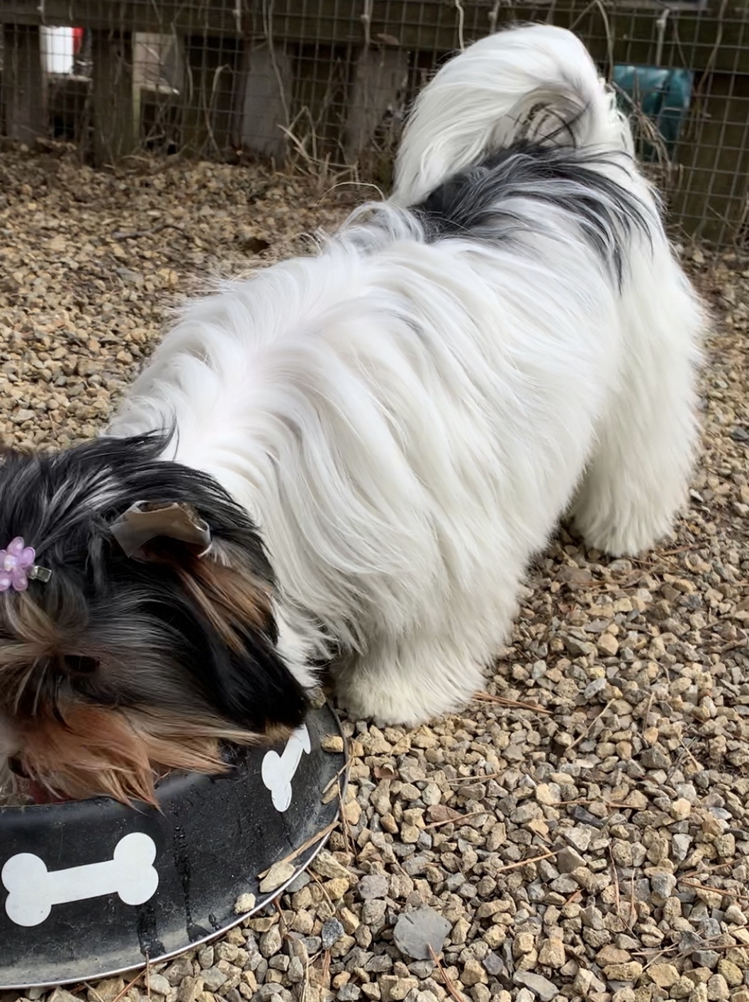 Biewers Gallery | Brighton Biewers