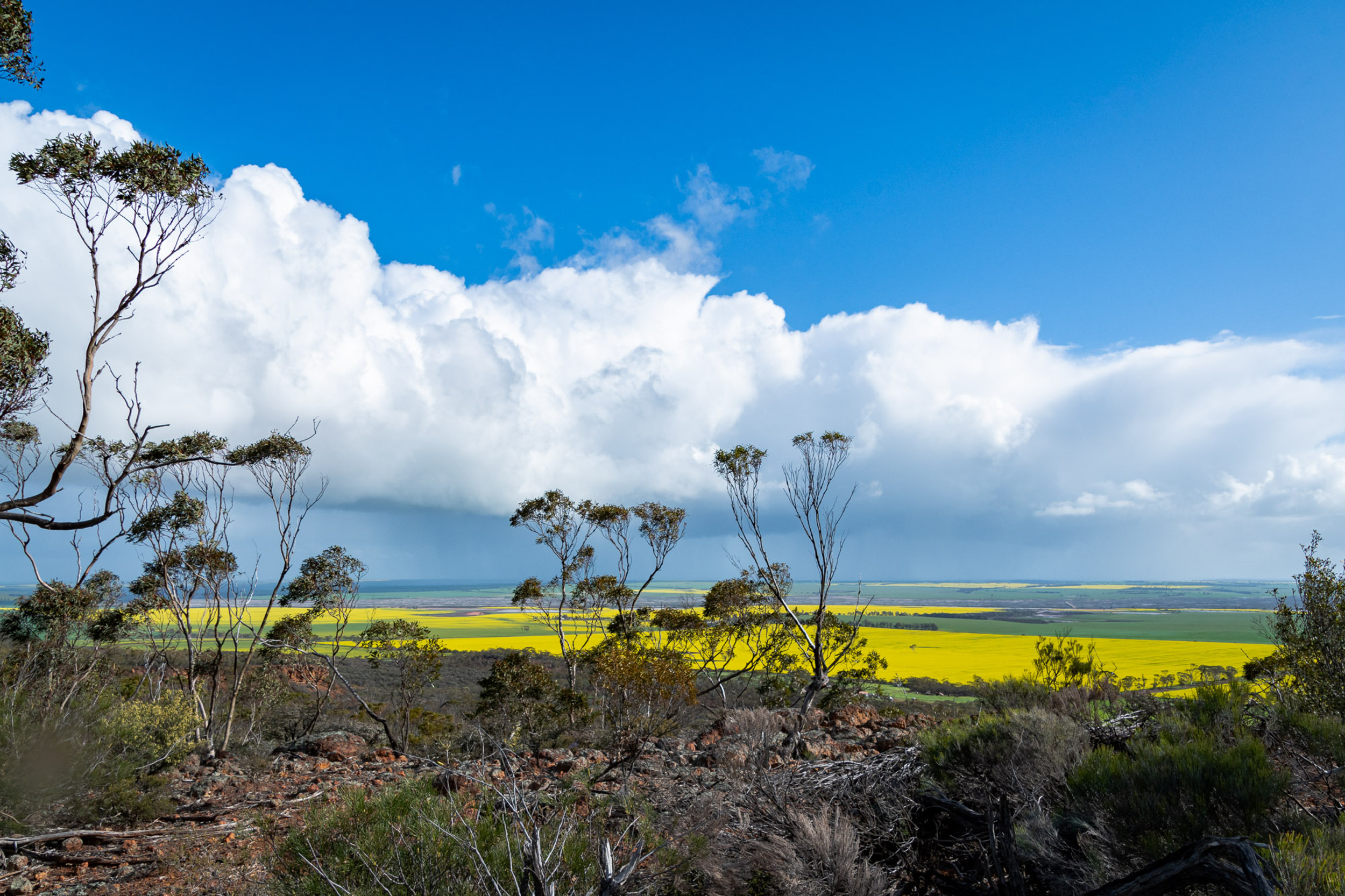 Mount Matilda | Wongan Hills Nature Reserve