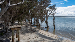 Stokes Heritage Trail | Stokes National Park