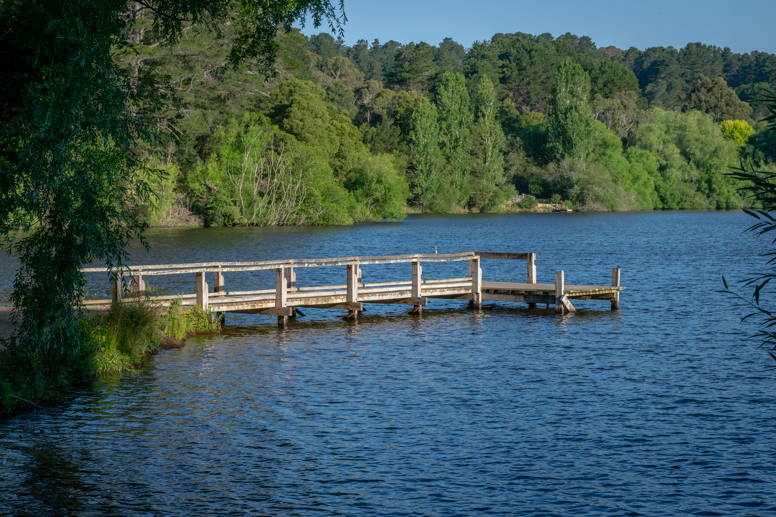 Lake Daylesford Loop | Daylesford