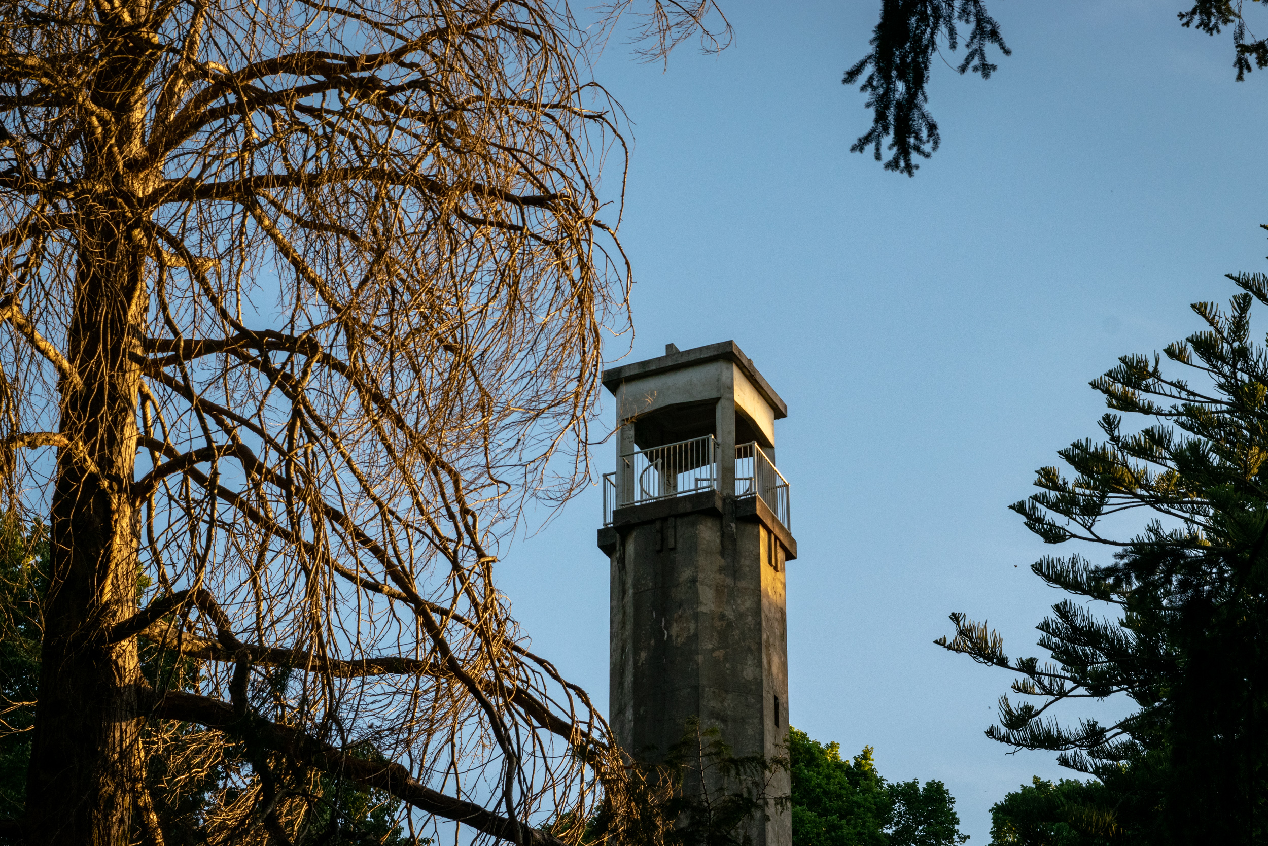 Wombat Hill Botanical Gardens | Daylesford