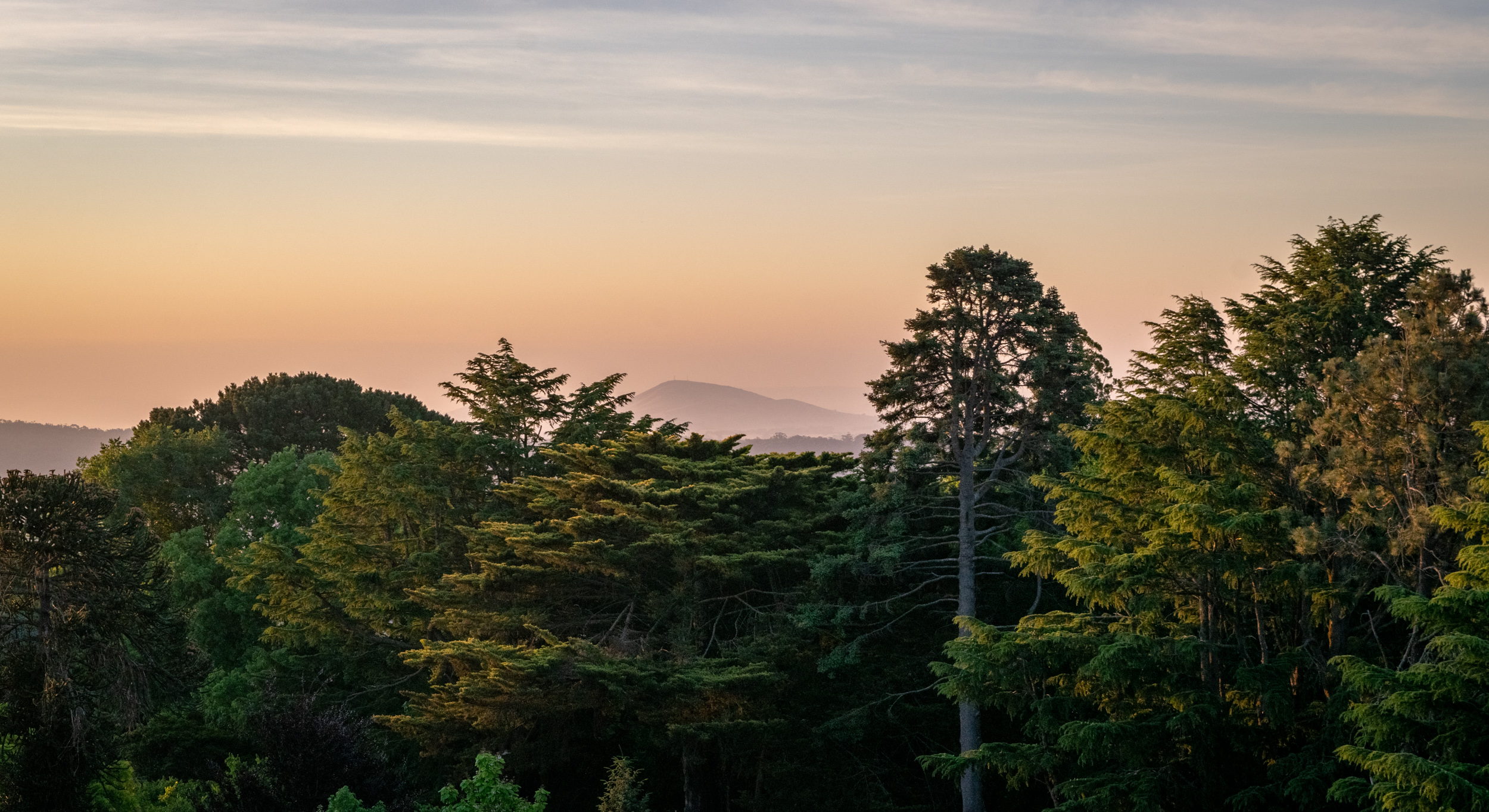 Wombat Hill Botanical Gardens | Daylesford
