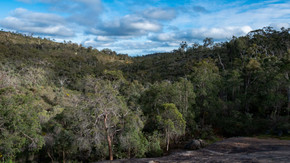 Eagle View Walk Trail | John Forrest National Park