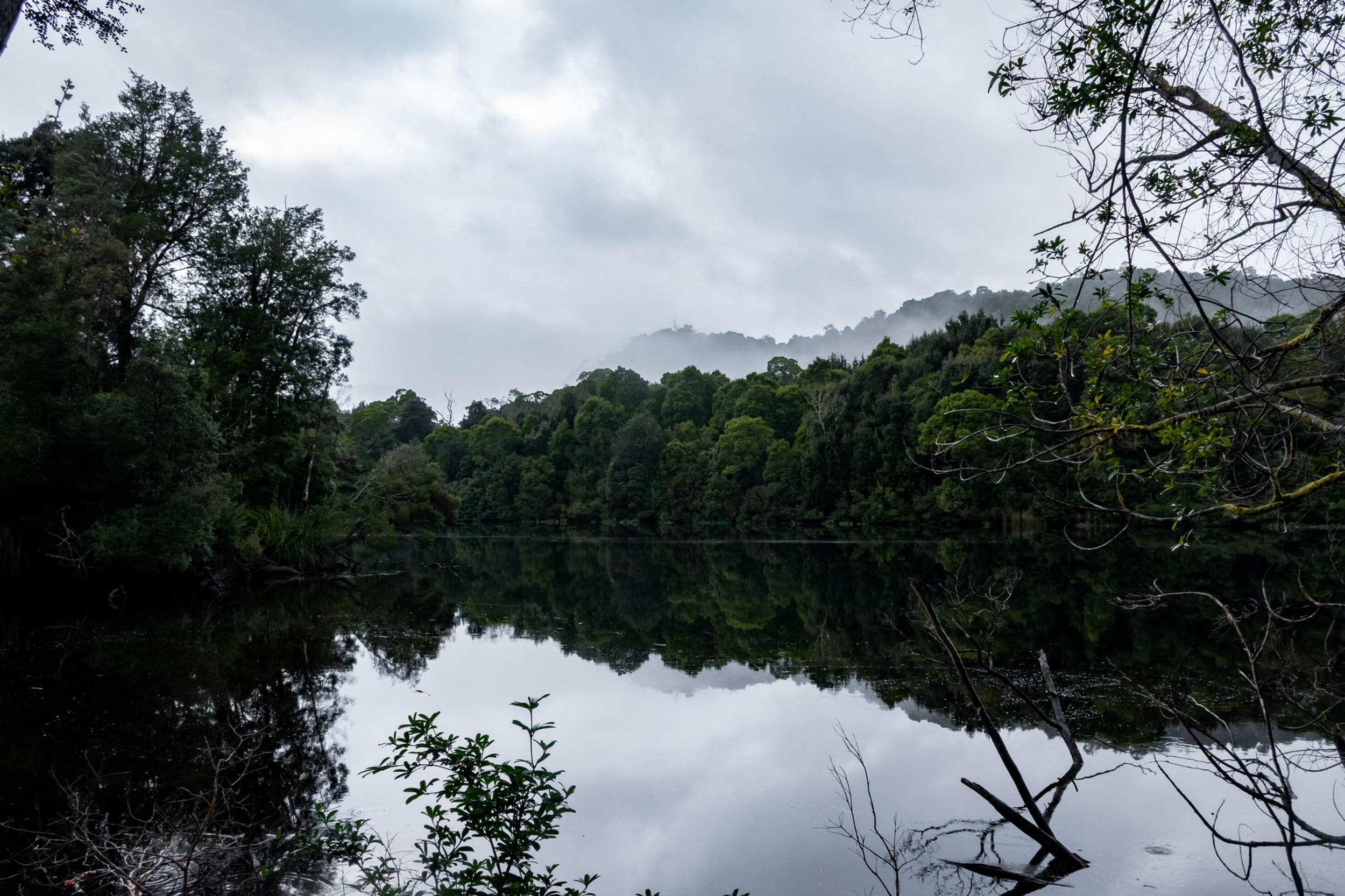 Whyte River Track | Corinna
