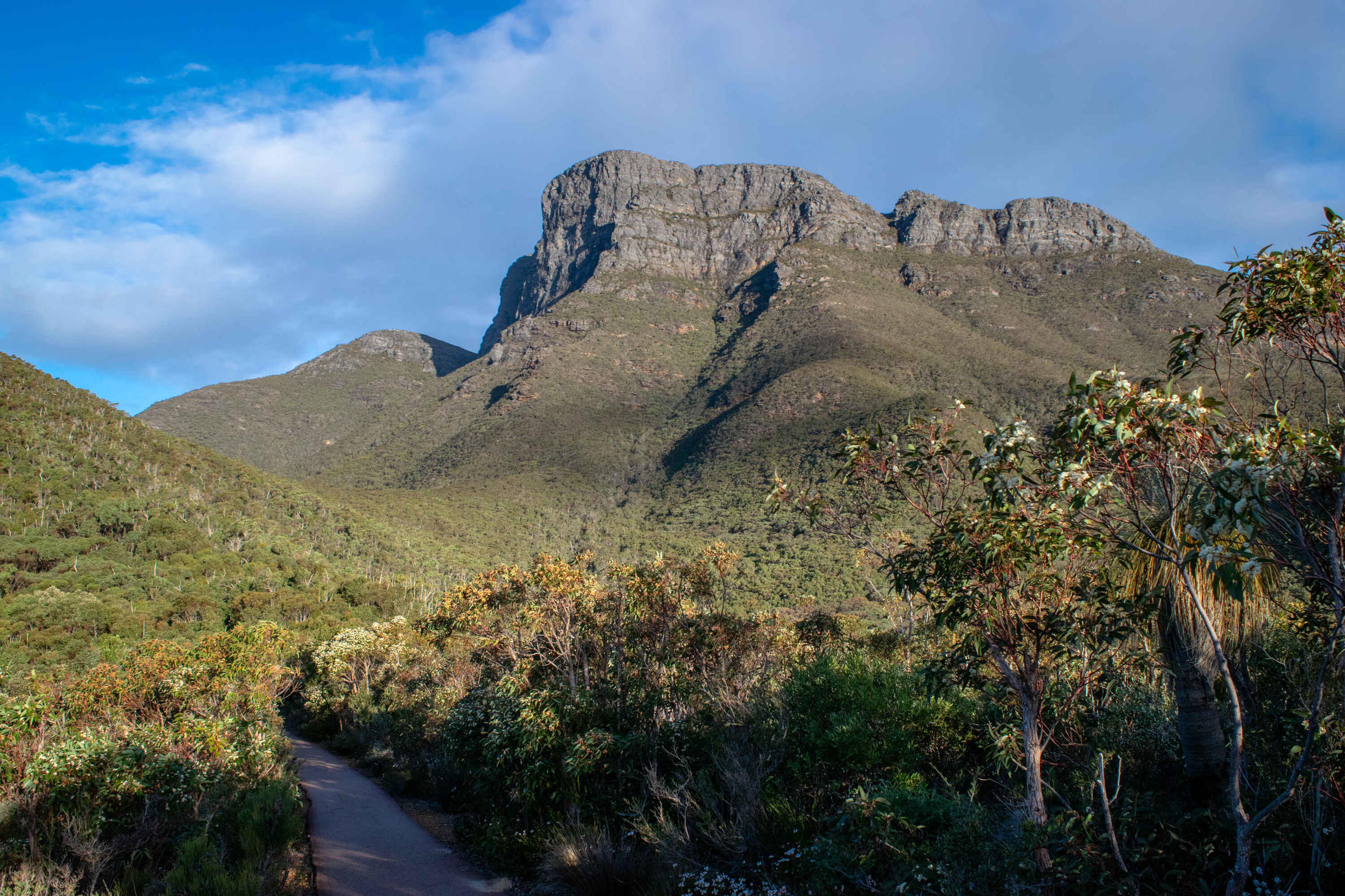 Bluff Knoll | Stirling Range National Park