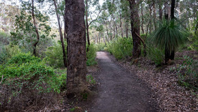 Eagle View Walk Trail | John Forrest National Park