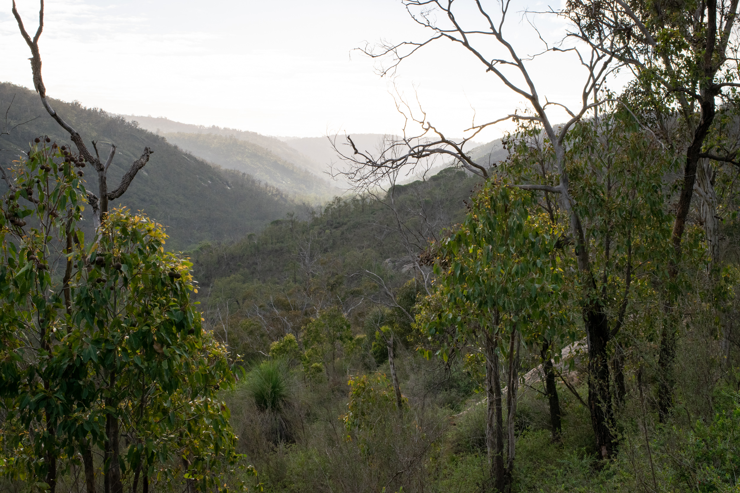 Numbat Trail | Paruna Wildlife Sanctuary