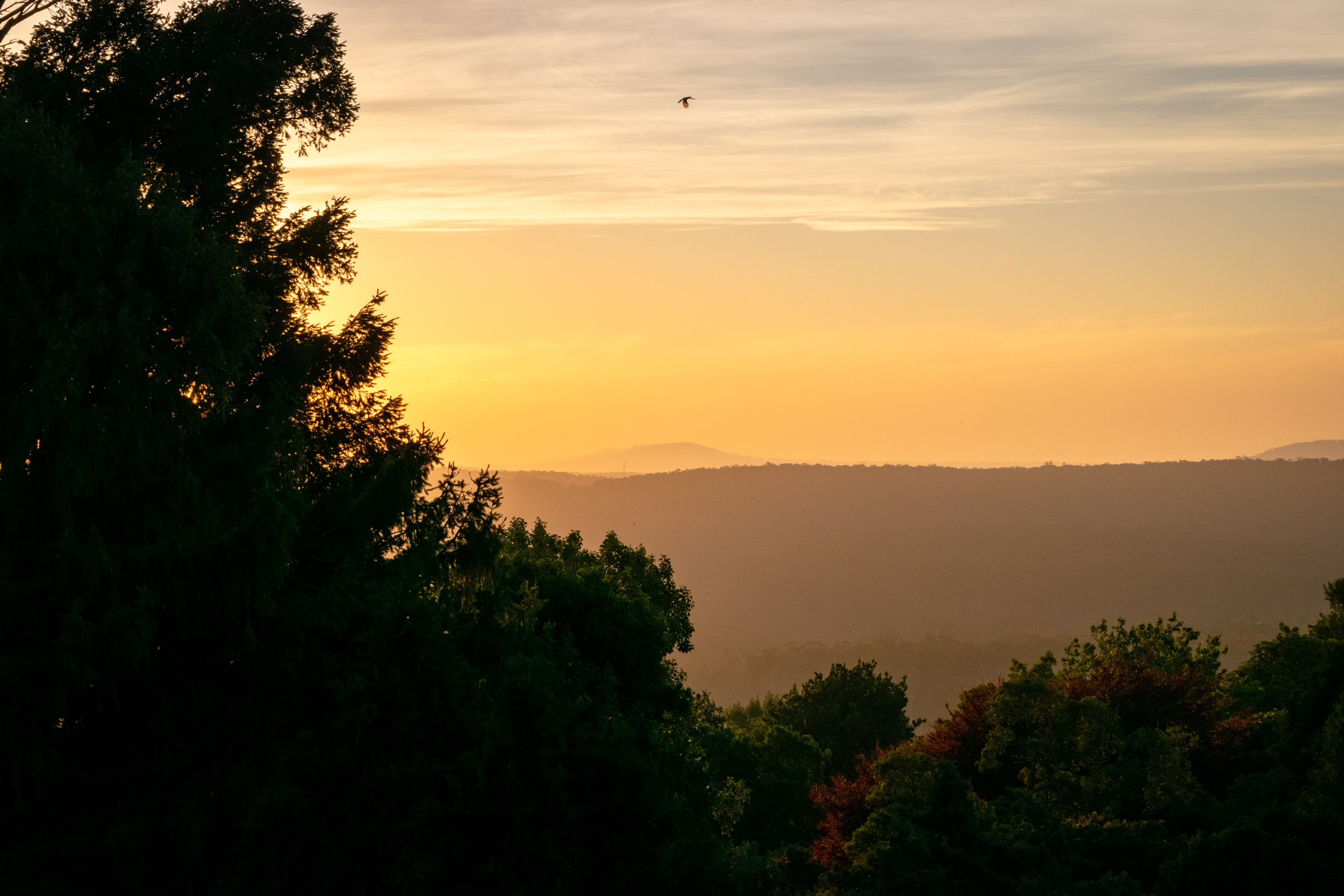 Wombat Hill Botanical Gardens | Daylesford