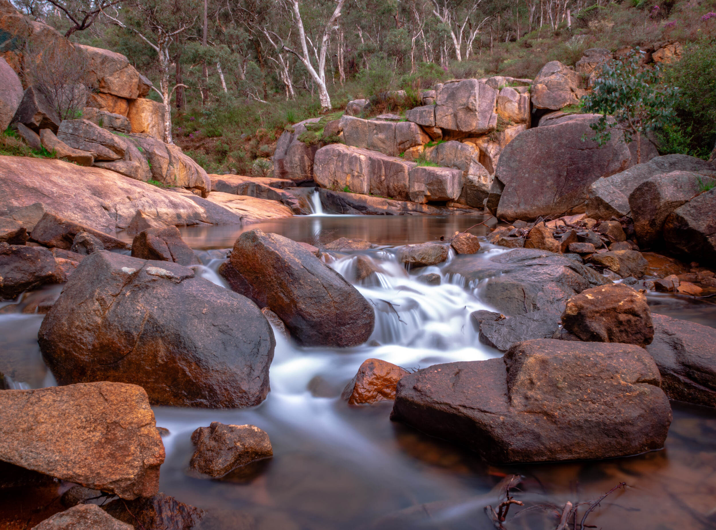 Rocky Pool Walk Trail | Kalamunda National Park