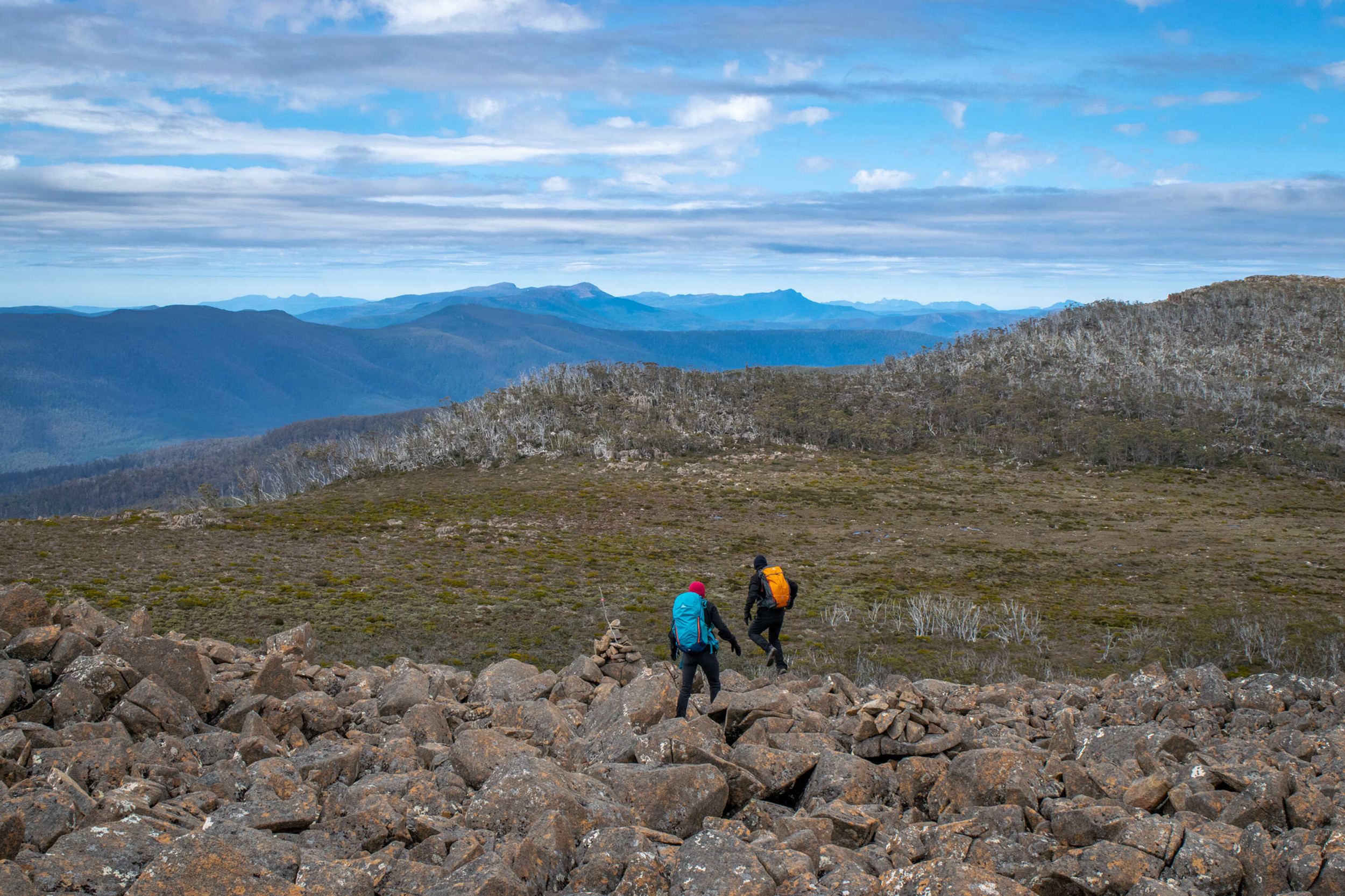 Mount Field East | Mount Field National Park