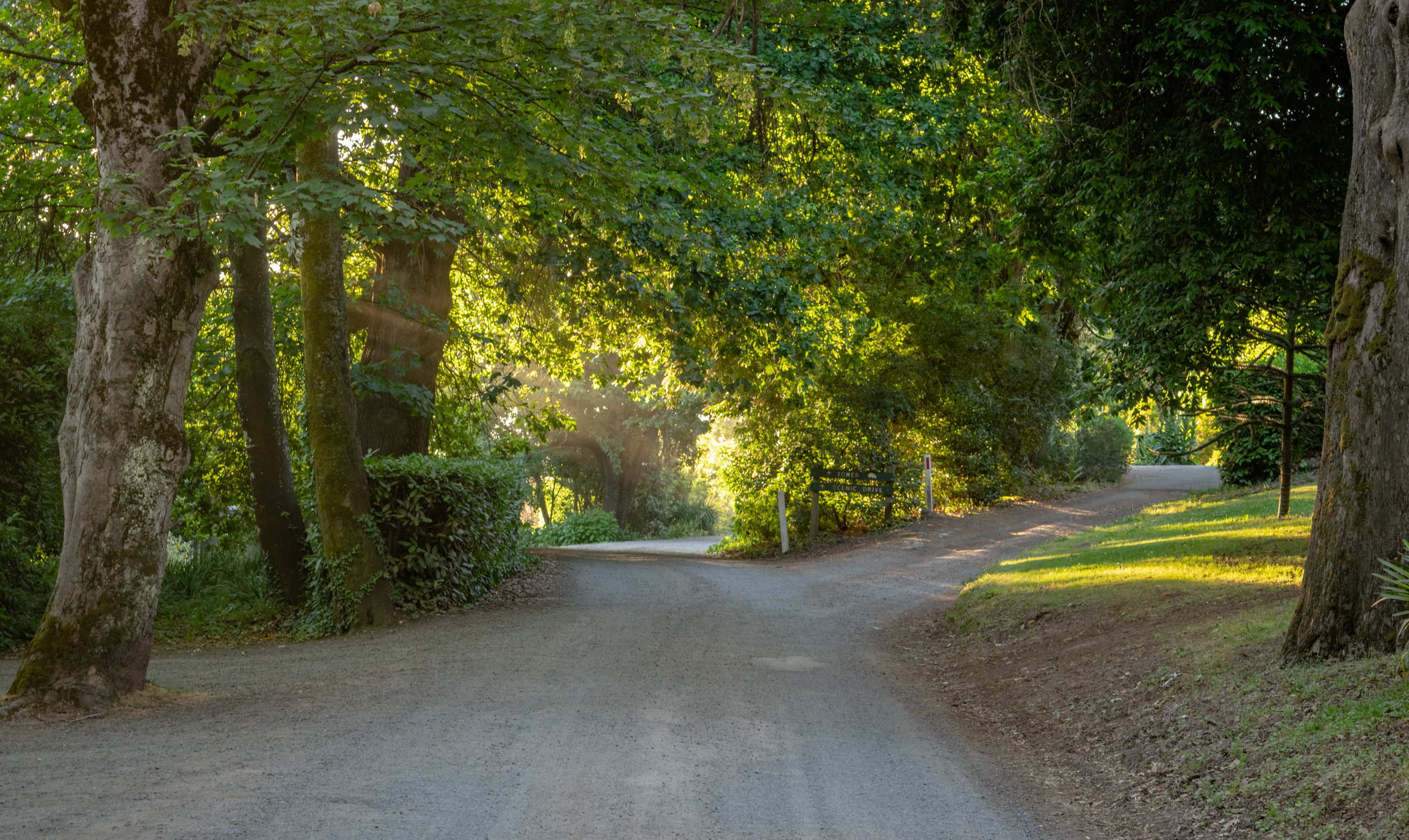 Wombat Hill Botanical Gardens | Daylesford