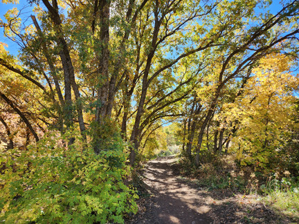 Rose Canyon Ultra | Happy Trails Racing | United States