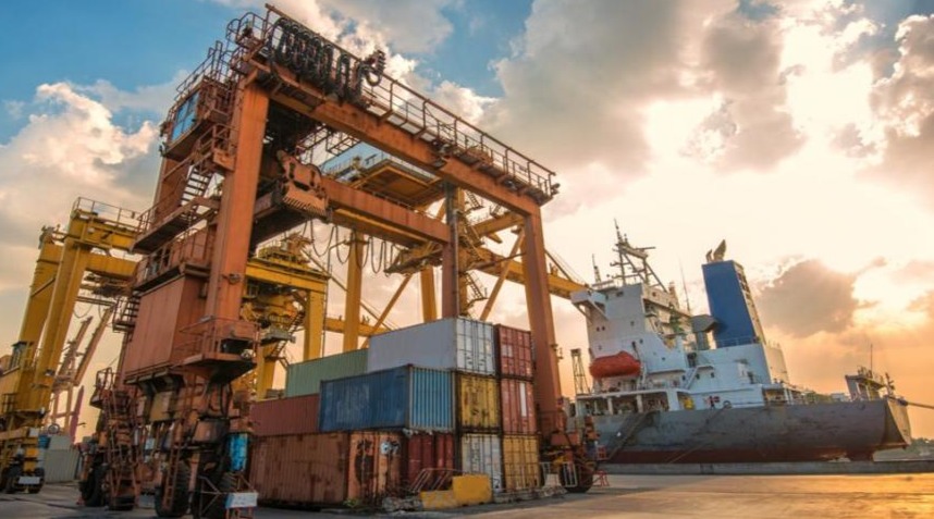 The Company | Royal Greyhound