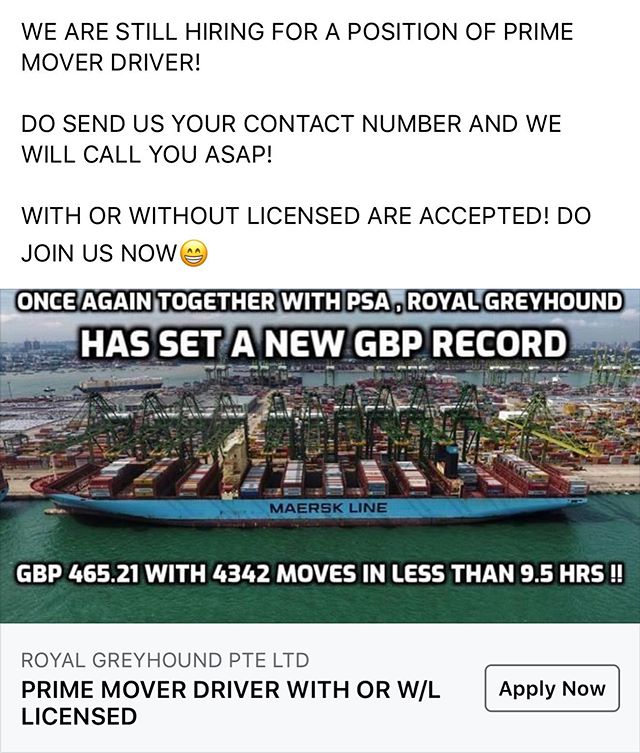 The Company | Royal Greyhound