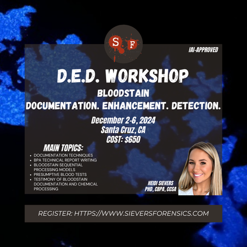Documentation, Enhancement, and Detection Workshop (CA) | Sievers Forensics