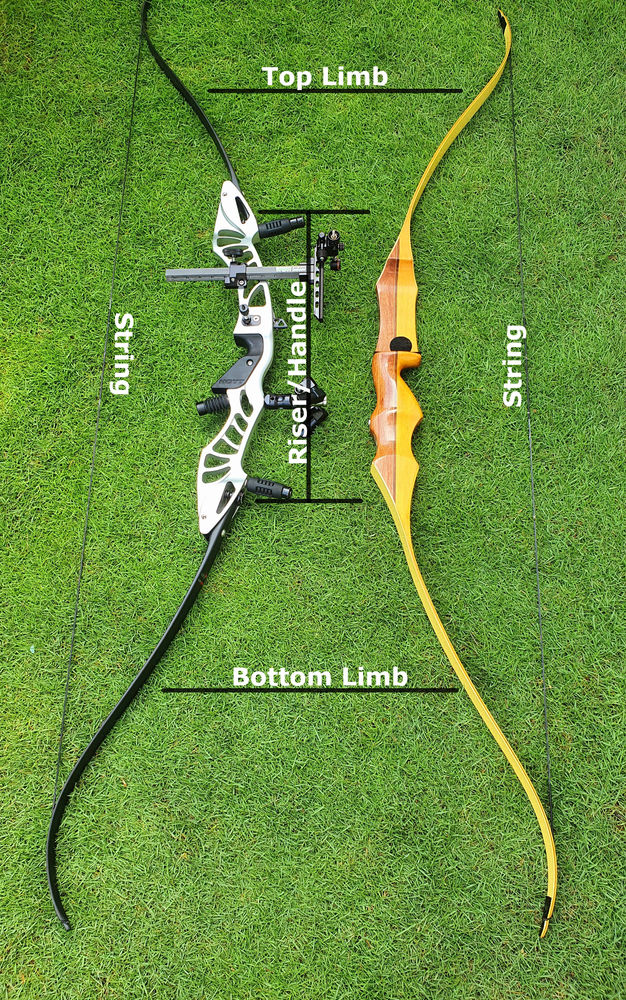 Essentials to Start Shooting Archery
