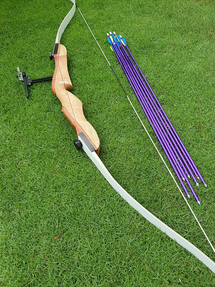 Everyone’s favorite beginner bow | WNS Progresser Bow Review