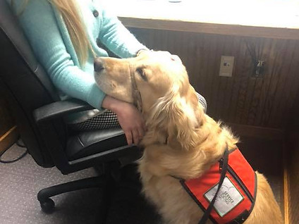 About Us | Service Dogs, Inc.