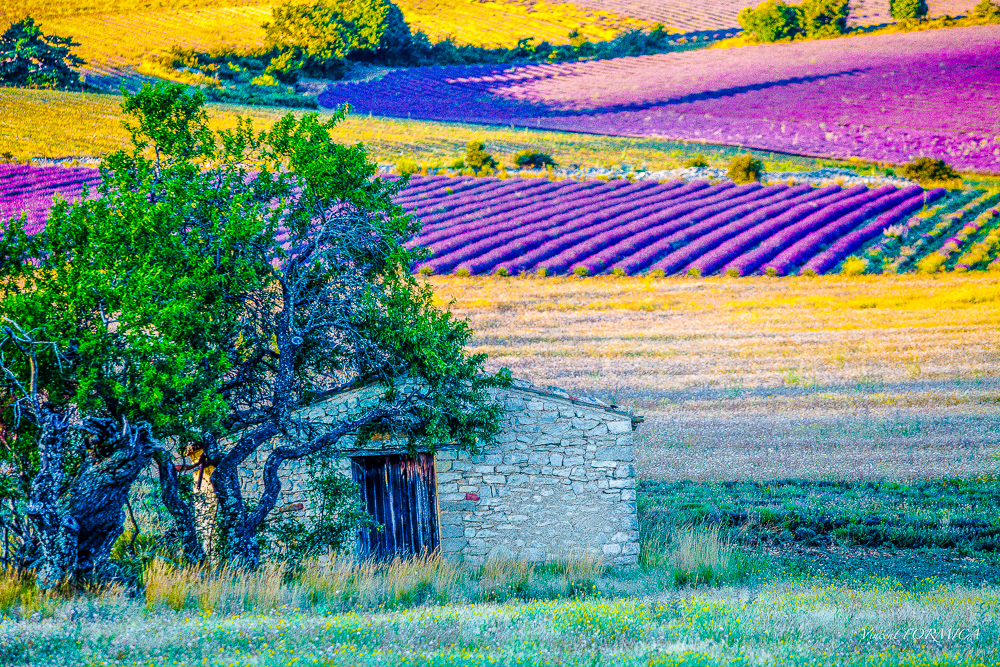 Photographe Provence Photothèque Banque d'images Provence