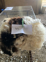 Fleeces | Melken Jacobs