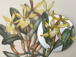 Workshop | Limoges | Painted | Enamel | Mi-Sook Hur