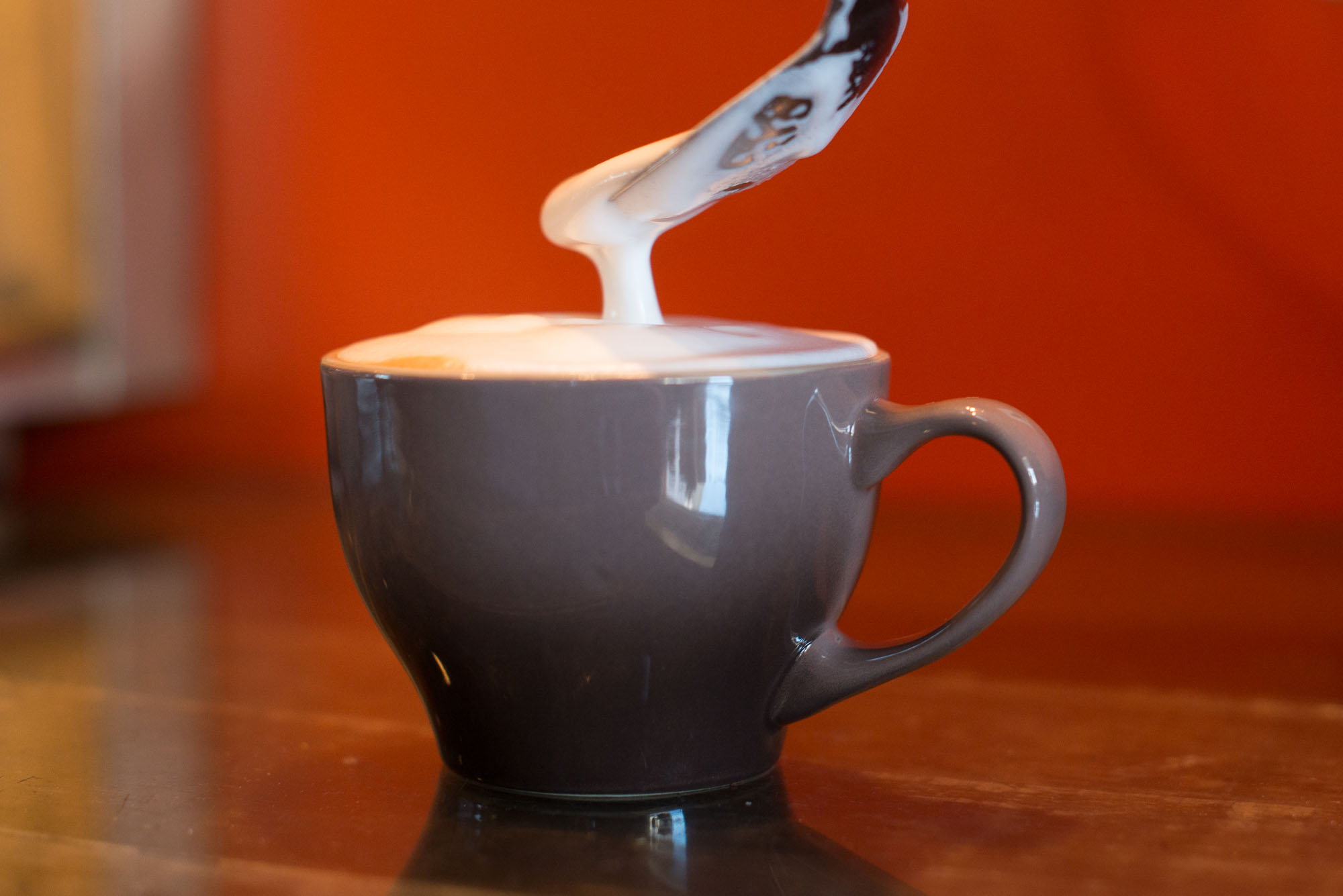 Owl and Turtle Bookshop Café | Camden, Maine