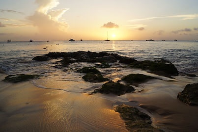 COMMUNITY MAP & CONTACT SERVICES | SCPO