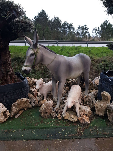 Burro em fibra | Viveiros de São João