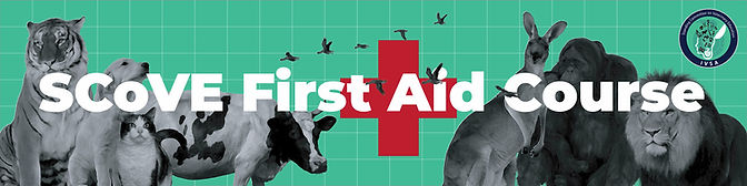 SCOVE Courses | EDU+