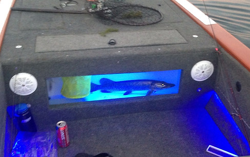 Boat Livewells & Bait Wells To Keep Fish Alive Product Info