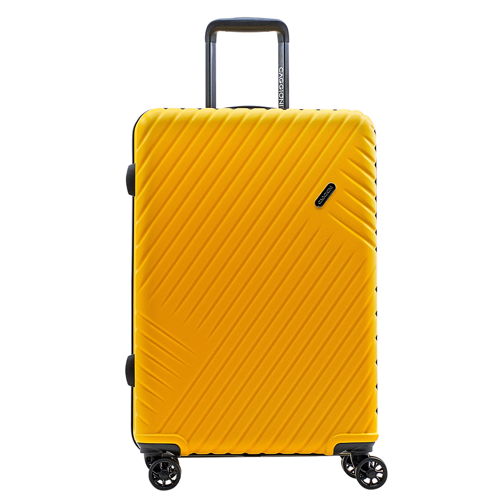 Joy II (Zip) | Caggioni