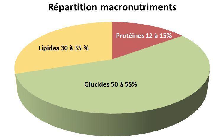 Les rôles des lipides, en 3 minutes