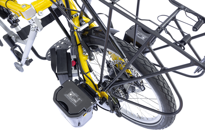 Stricker Lipo Smart Tetra | Rolling In Paradise | Disabled Adaptive ...