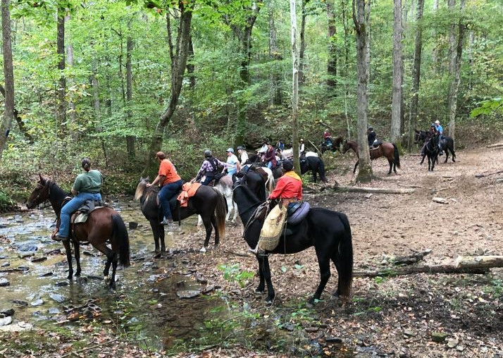 Mammoth Cave Horse Camp | HorseTrailsofAmerica