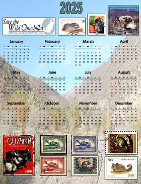 wild printable schedule