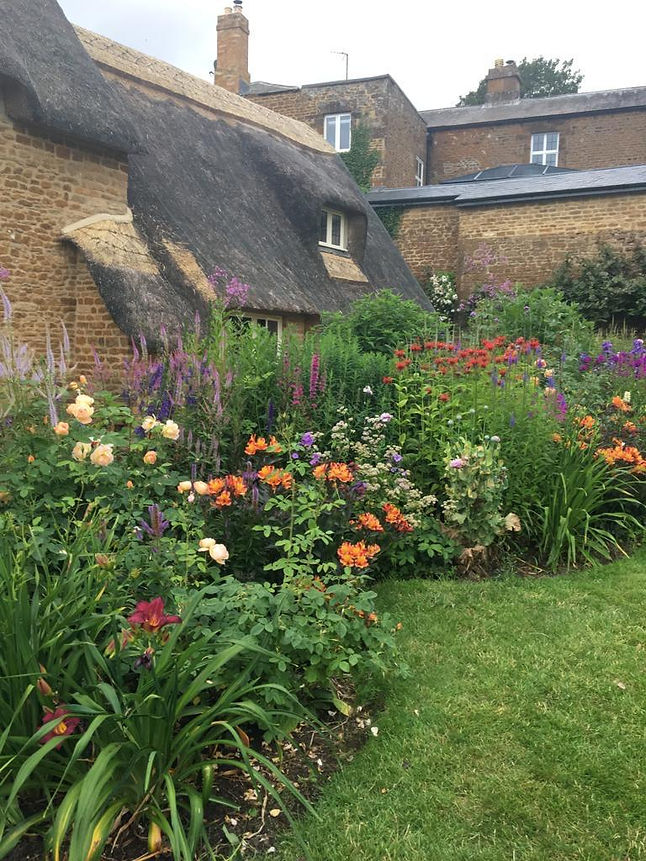 Services | Esher Garden Design