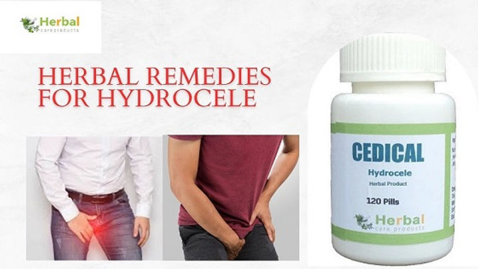 Herbal Remedies for Hydrocele: Nature's Secret to Healing